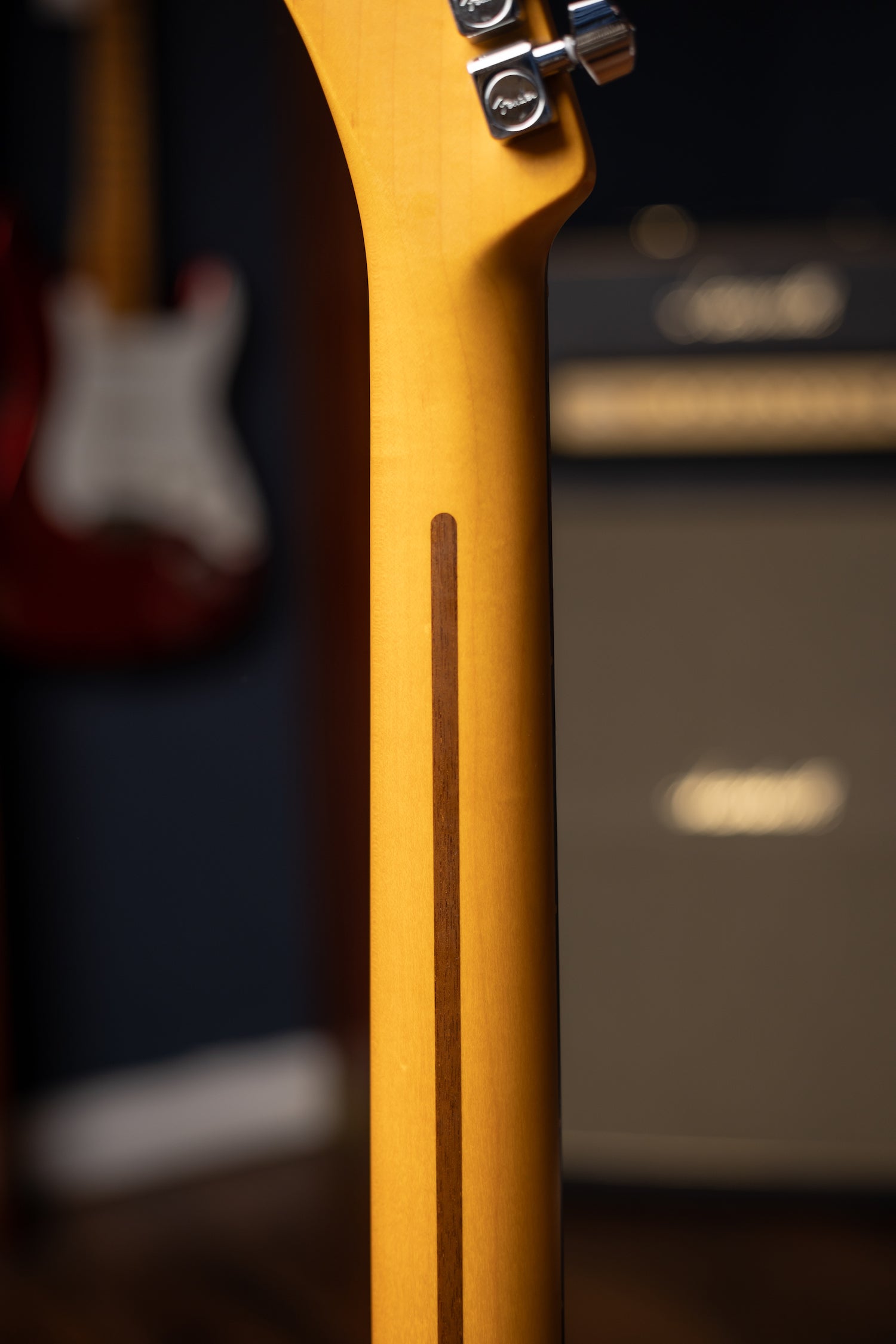 Fender American Professional II Telecaster Electric Guitar- 3-Color Su ...